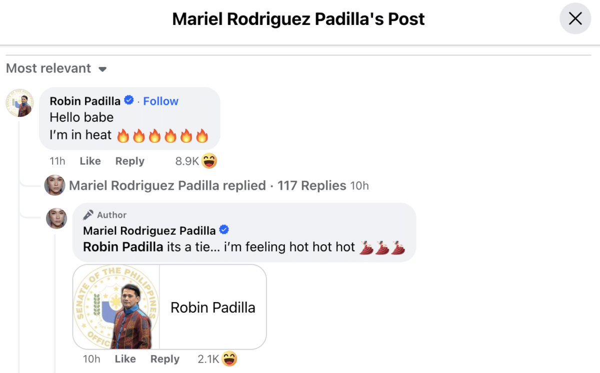 Mariel, Robin Padilla under fire for 'insensitivity' to marital rape